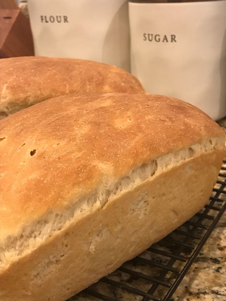 Granny's Bread: A Story of Sweet Sourdough - Momma Makes Cents